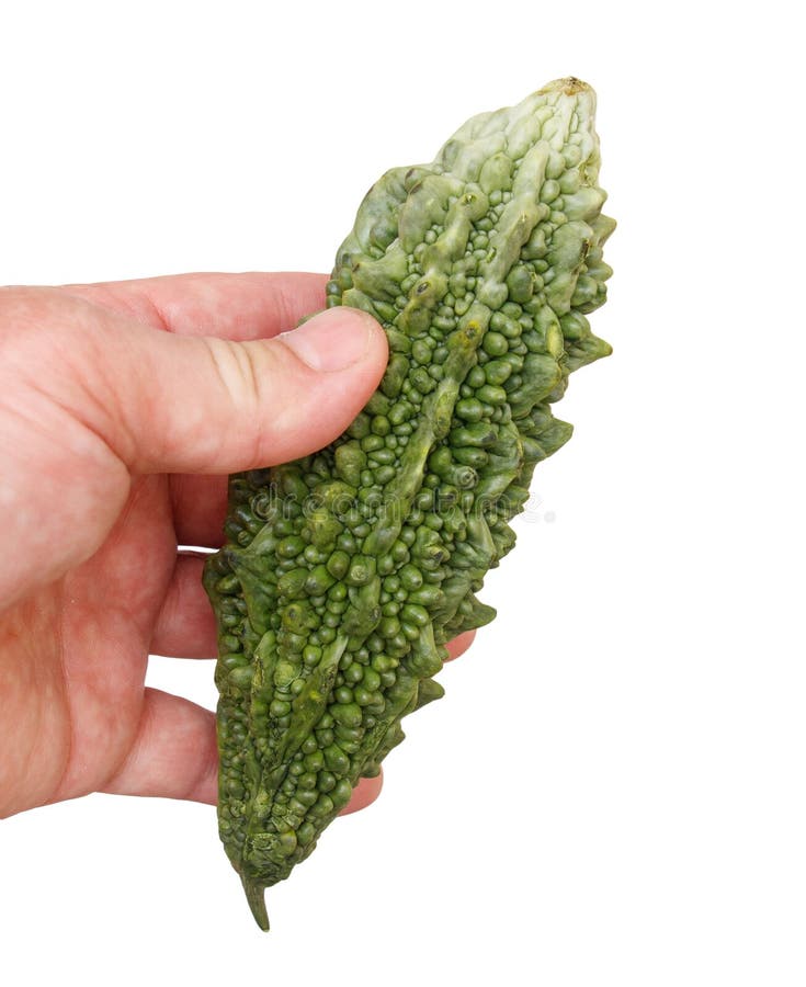 A Hand Holding a Green Vegetable with Many Bumps Stock Photo - Image of ...