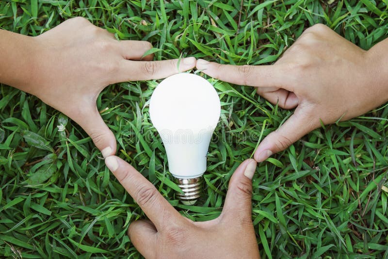 Hand Holding Led Bulb on Green Grass Stock Photo - Image of glass ...
