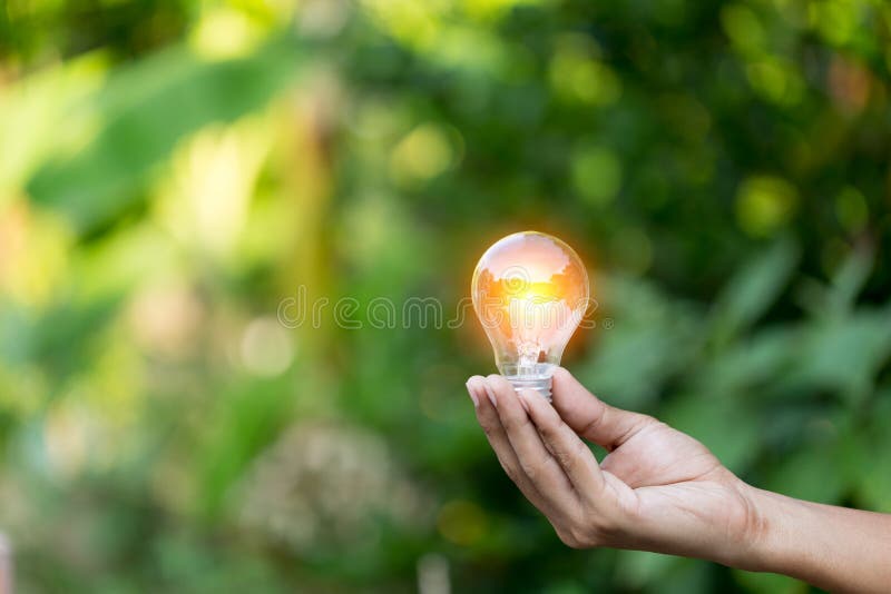 Hand Holding Light Bulb,energy Sources for Renewable,natural Energy ...