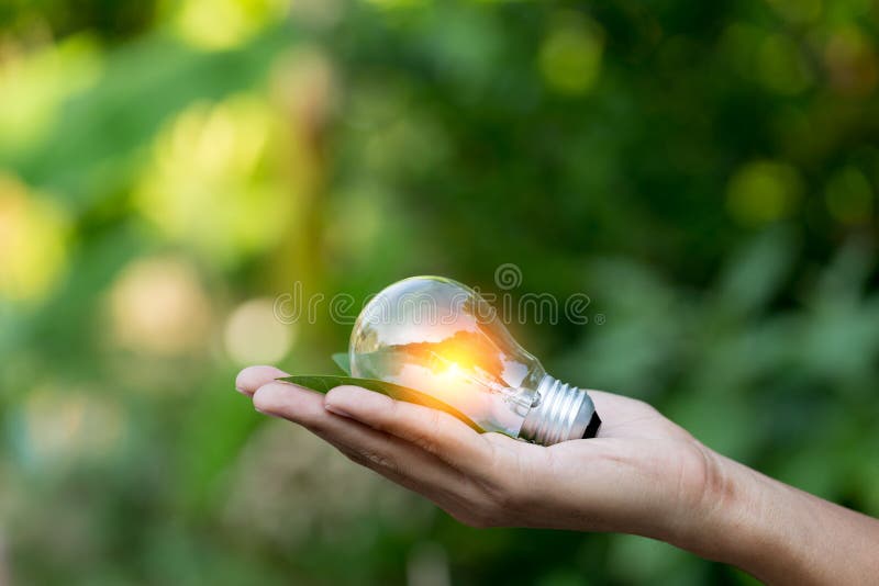 Hand Holding Light Bulb,energy Sources for Renewable,natural Energy ...