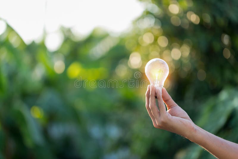 Hand Holding Light Bulb,energy Sources for Renewable,natural Energy ...