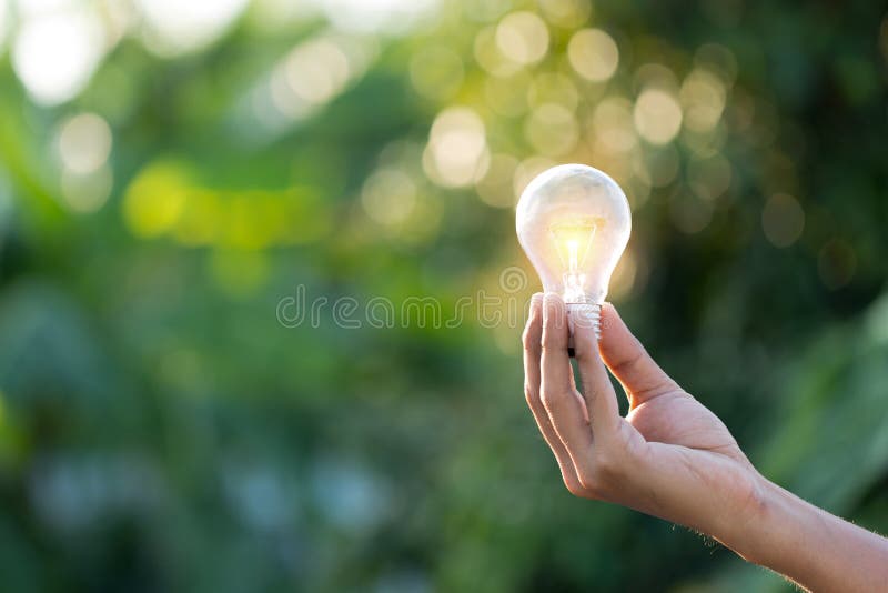 Hand Holding Light Bulb,energy Sources for Renewable,natural Energy ...