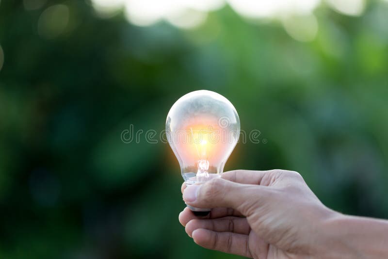 Hand Holding Light Bulb,energy Sources for Renewable,natural Energy ...