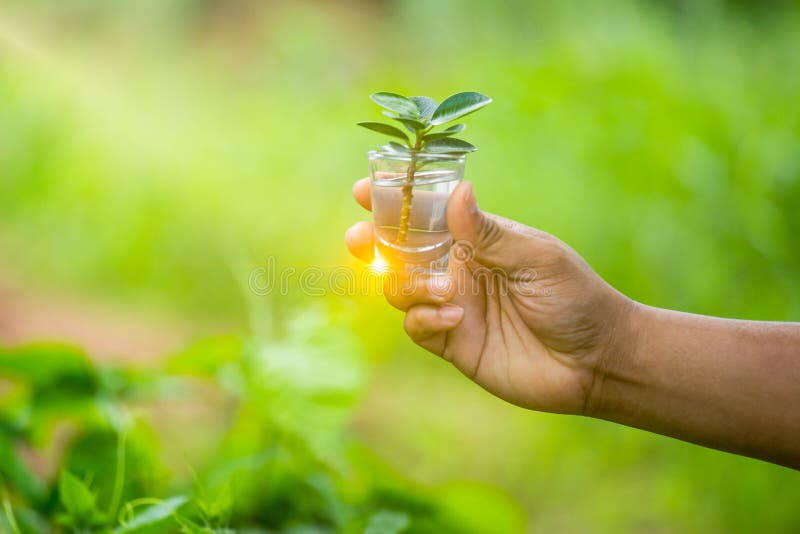 Eco-friendly Creative Cardboard Office Stock Photo - Image of recycling ...
