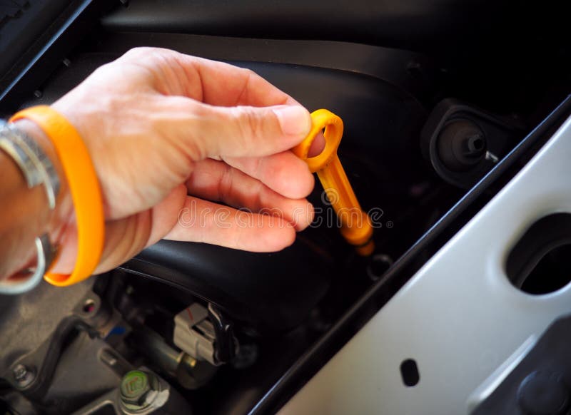 Hand Holding Lubricant Oil Level Check Dipstick Stock Photo - Image of ...