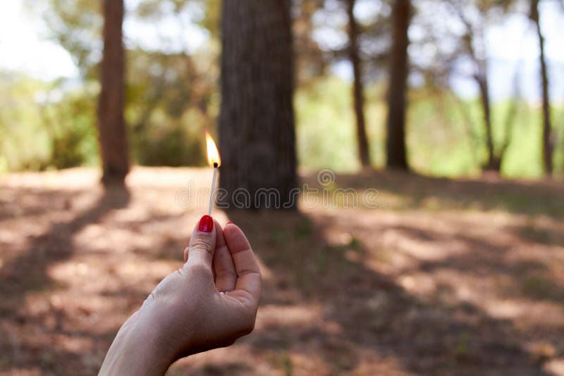 Hand Holding a Match on Fire in the Forest Stock Photo - Image of ...