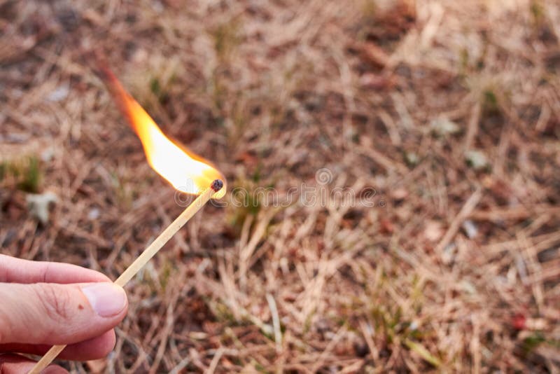 Hand Holding a Match on Fire in the Forest Stock Photo - Image of fire ...