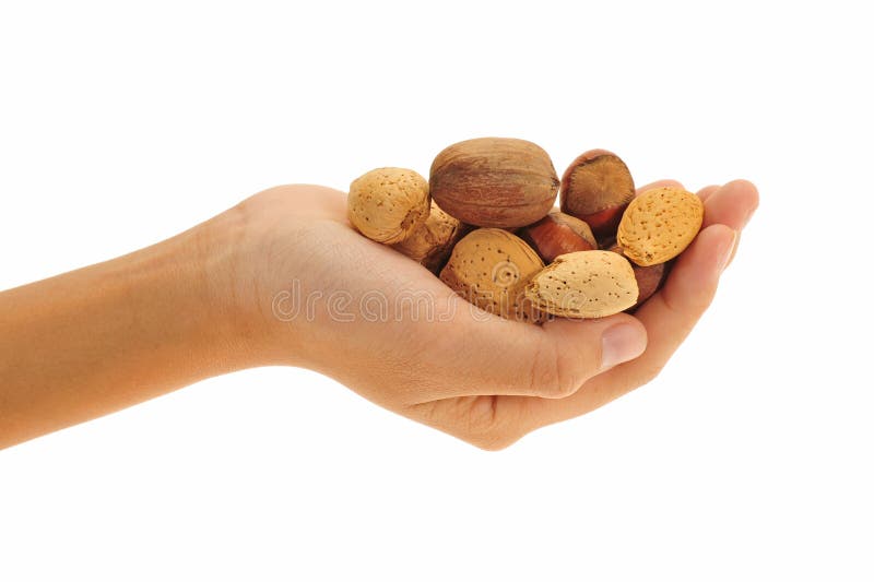 Hand Holding Mix Nuts stock image. Image of assortment - 22990843