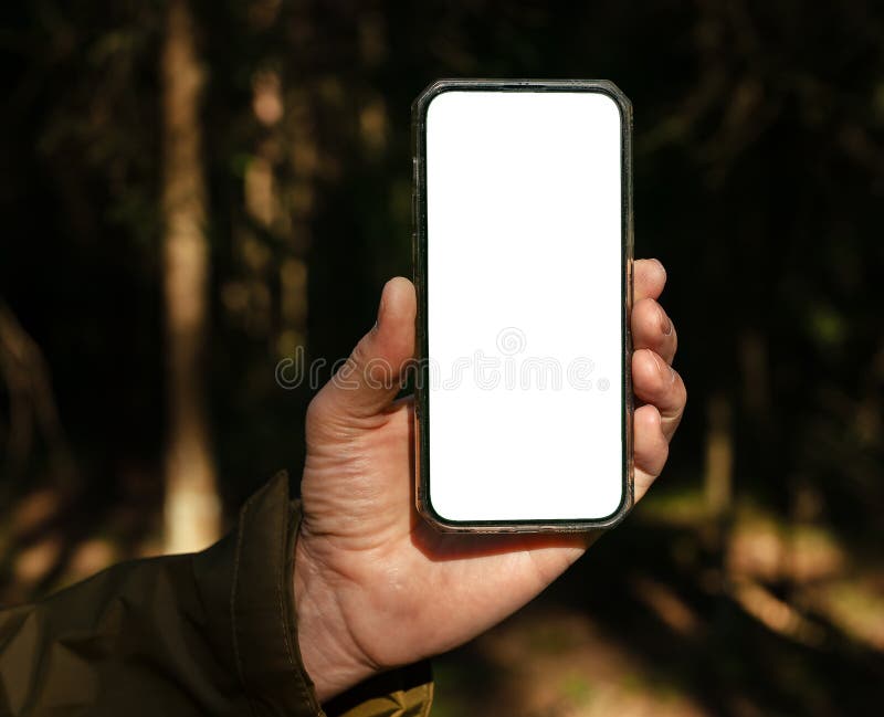 Hand Holding Mobile Phone Screen Mockup in Nature, Sunny Day. Stock ...
