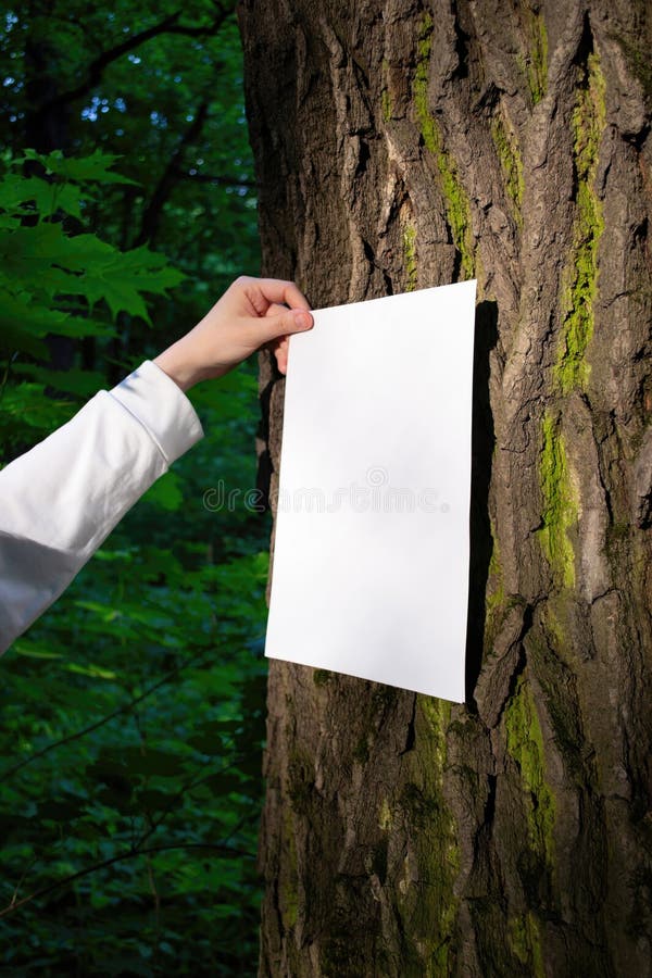 Hand Holding Mockup of White A4 Sheet of Paper on Bark of Tree Trunk on ...