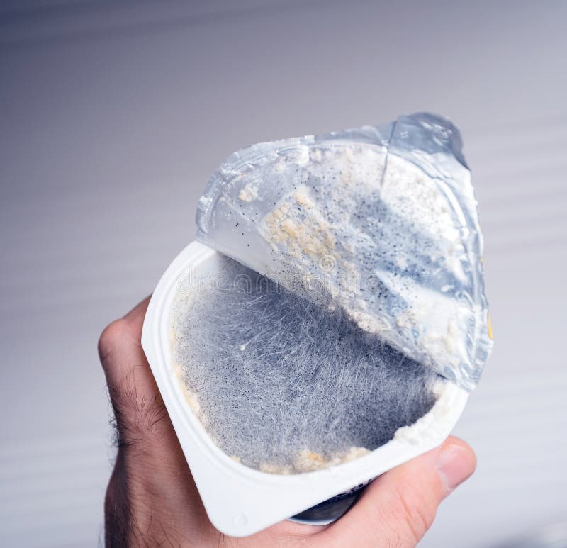Hand Holding Moldy Yogurt: Controlling Mold Stock Image - Image of ...