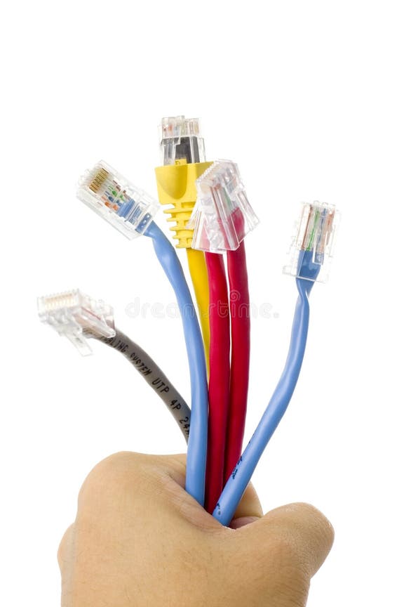 Hand Holding Network Cables Stock Image - Image of isolated, technology ...