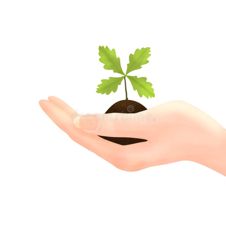 Sapling Stock Illustrations – 20,755 Sapling Stock Illustrations ...