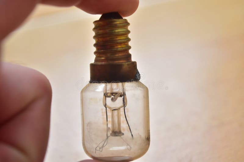 Hand Holding Old Mini Light Bulb. 15W Mini Light Bulb for Old ...