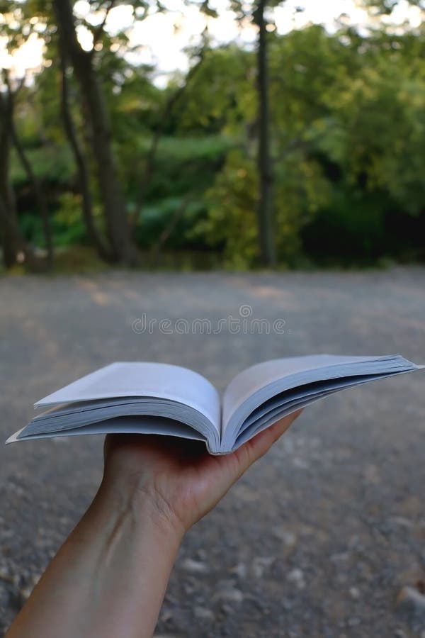 Reading Outdoor stock image. Image of knowledge, leisure - 219766951
