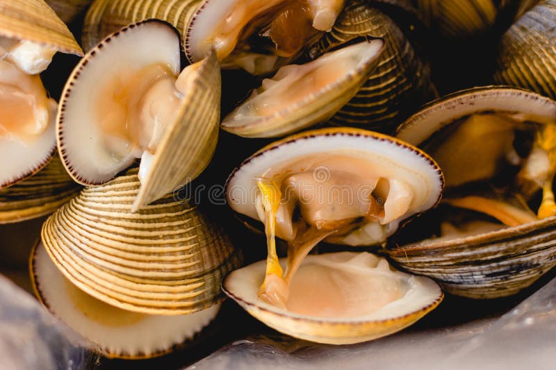 Hand Holding Open Shellfish Stock Image - Image of fish, protein: 331160601