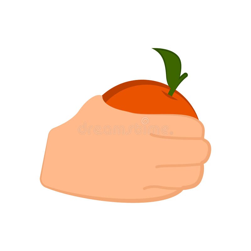 Hand holding an orange stock vector. Illustration of closeup - 132798361