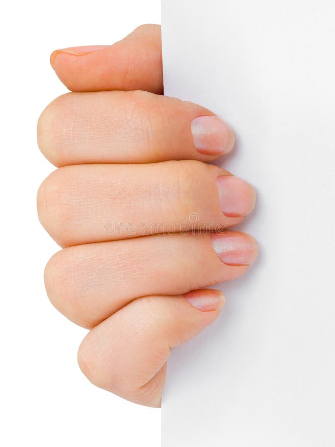 Kid Holding Paper Grocery Bag Full of Vegetables Milk, Bread. Happy ...