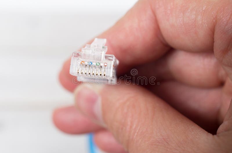 Hand with Red Ethernet Cable Stock Photo - Image of administrator ...