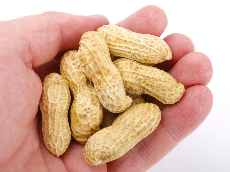 Hand holding peanuts stock image. Image of shell, delicious - 11999973
