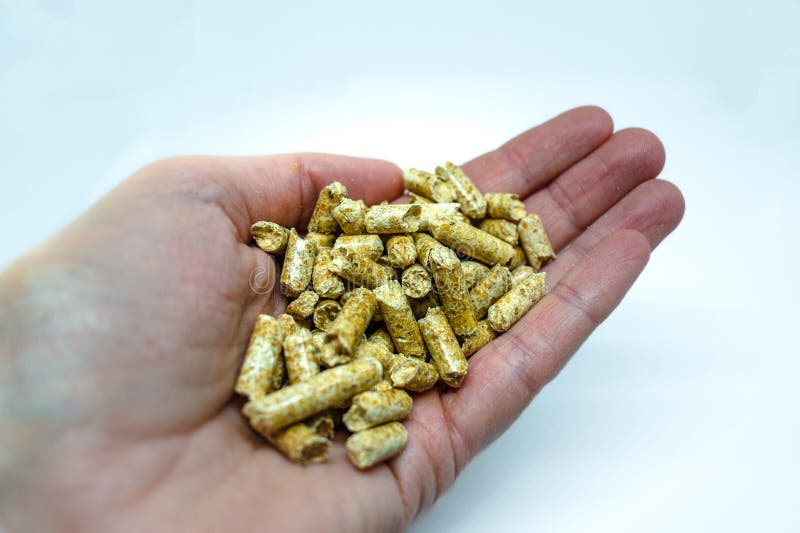 Hand Holding Pellets for Granule Stove Stock Photo - Image of tree ...