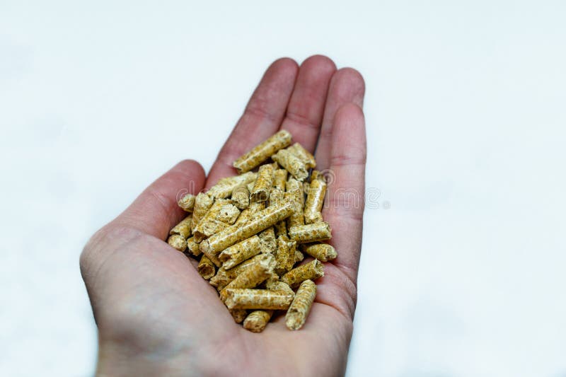 Hand Holding Pellets for Granule Stove Stock Image - Image of granule ...