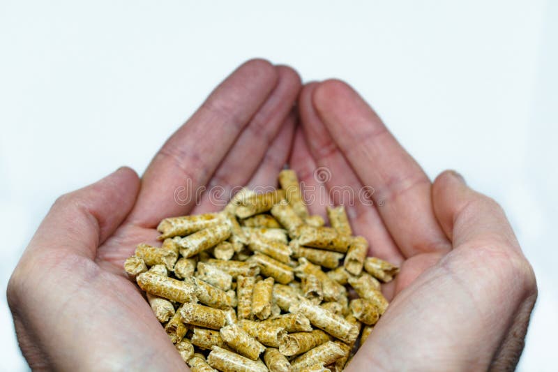 Hand Holding Pellets for Granule Stove Stock Image - Image of renewable ...