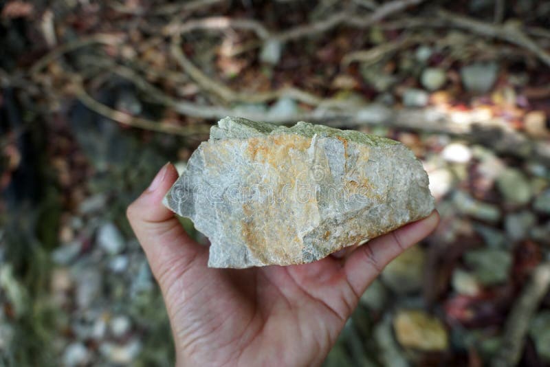 Hand Holding a Piece of Raw Quartzite Metamorphic Rock. Stock Photo ...