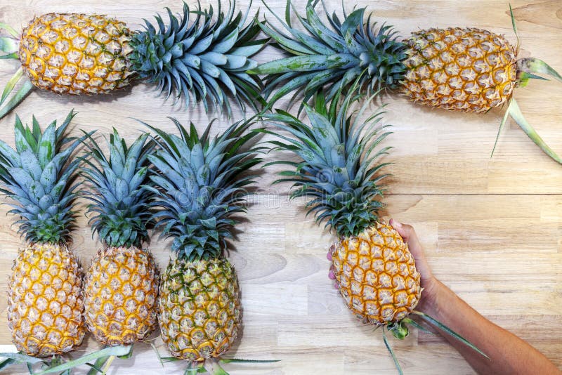 Hand Holding Pineapple with Row of Pineapple Fruits on Wooden Table ...