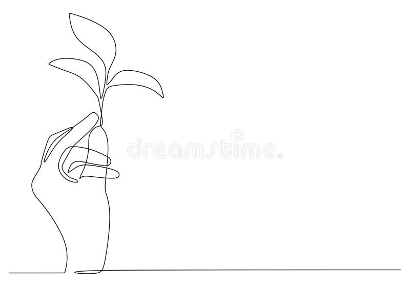 One Line Drawing Plant Growing Stock Illustrations – 611 One Line ...