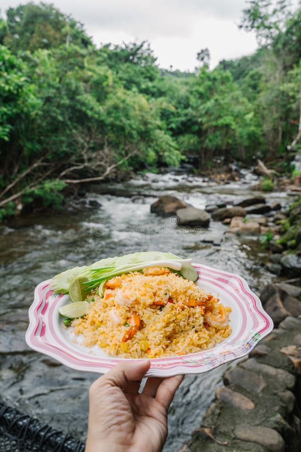 Hand Holding a Plate of Fried Rice Against a Waterfall Background ...
