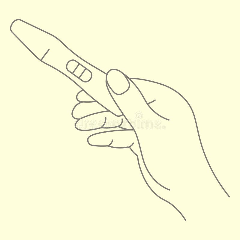 Hand Holding Positive Pregnancy Test Linear Illustration Vector Stock ...