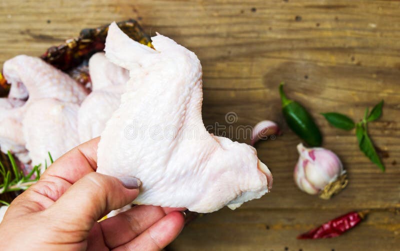 Hand Holding Raw Chicken Wing Stock Photo - Image of dish, hand: 100515180