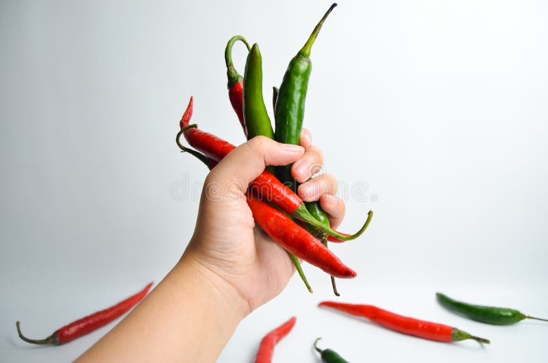 Hand Holding Red and Green Chili in White Stock Photo - Image of green ...