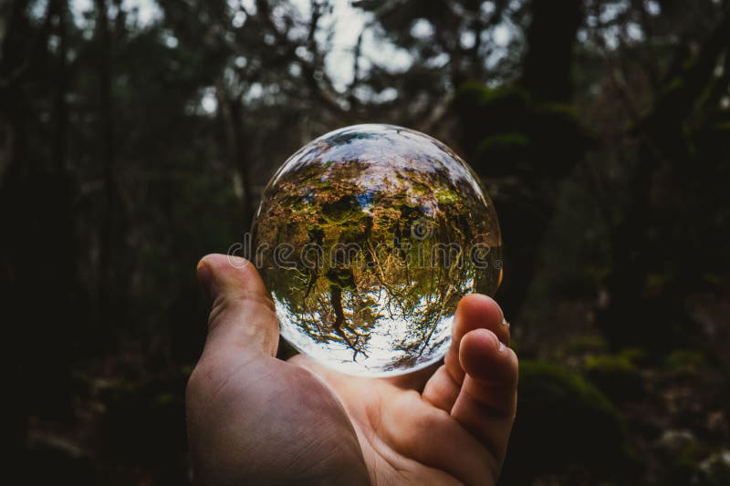 Hand Holding a Reflective Glass Ball in a Forest Stock Photo - Image of ...