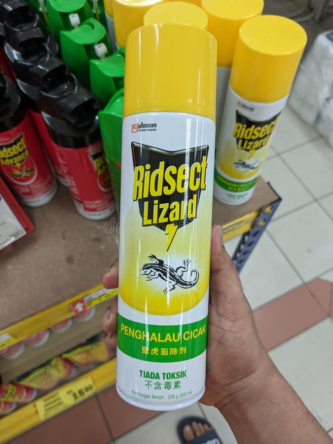 Hand Holding Ridsect Lizard Sold in Supermarket Editorial Photography ...