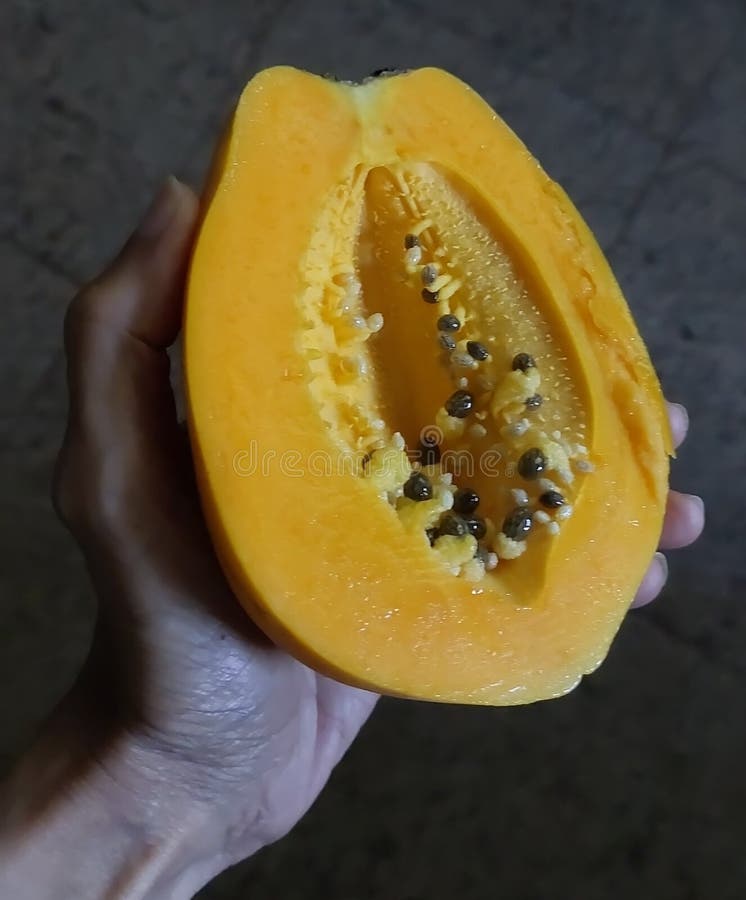 Hand Holding Ripe Papaya Cross Cut Stock Photo - Image of seed, hold ...