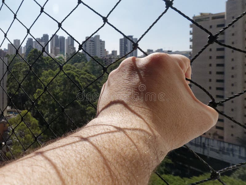 Hand Holding the Safety Net Stock Image - Image of hand, safety: 193341809
