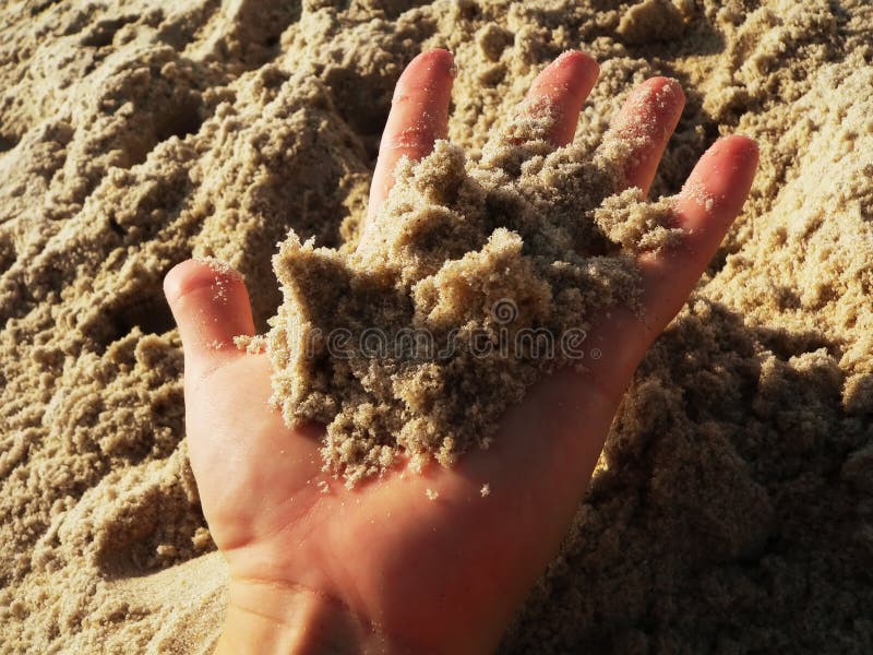 Hand Holding Sand on a Beach Stock Image - Image of soil, sand: 195785
