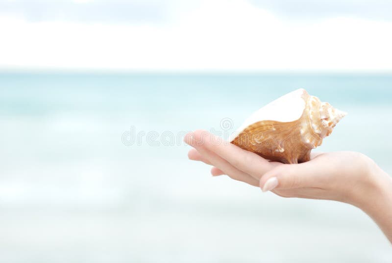 Girls Hand Pouring Water from Nautilus Shell Stock Photo - Image of ...