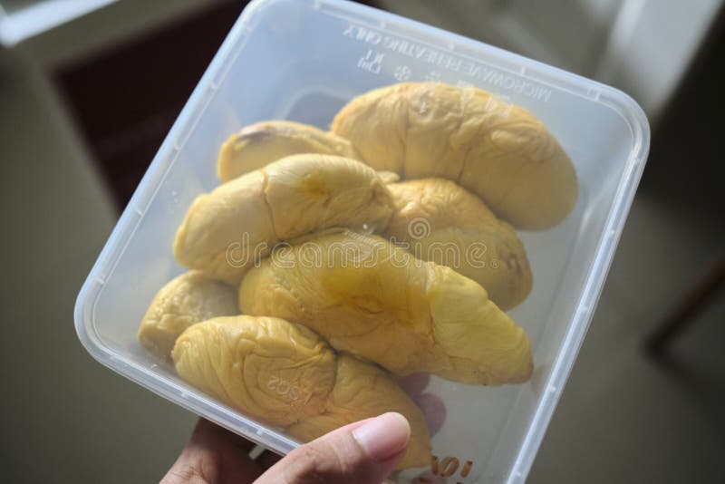 Several Delicious Durian Fruits in a Plastic Container Stock Image ...