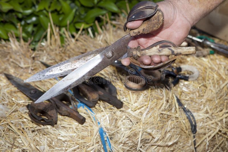 Hand Holding Shearing Scissor Stock Image - Image of scissor, fingers ...