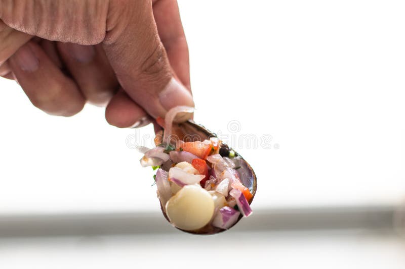 Hand Holding a Shell with Fresh Ceviche on a White Background Stock ...