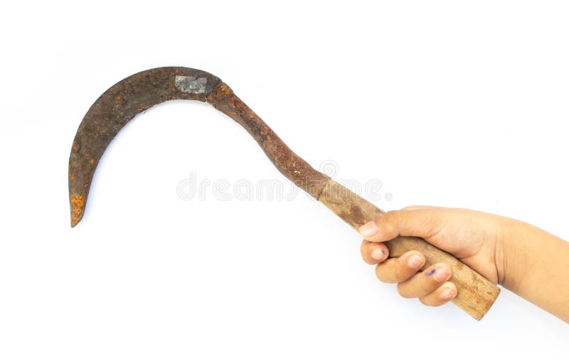 Hand holding a sickle stock photo. Image of blade, revolution - 24107070