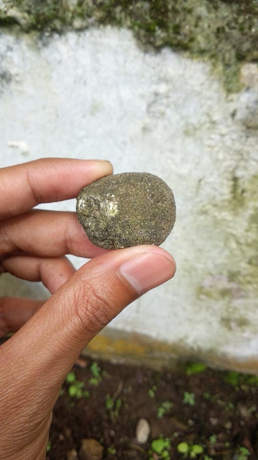 Hand holding small stone stock photo. Image of green - 260099796