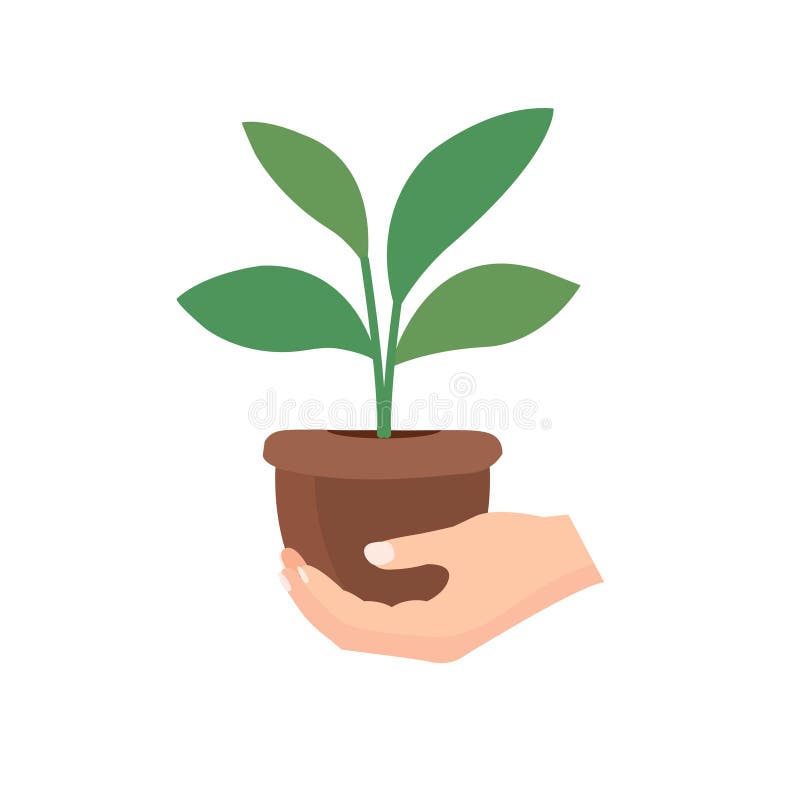 Hand Holding Small Tree Vector Illustration, Hand Carrying Plant on Pot ...
