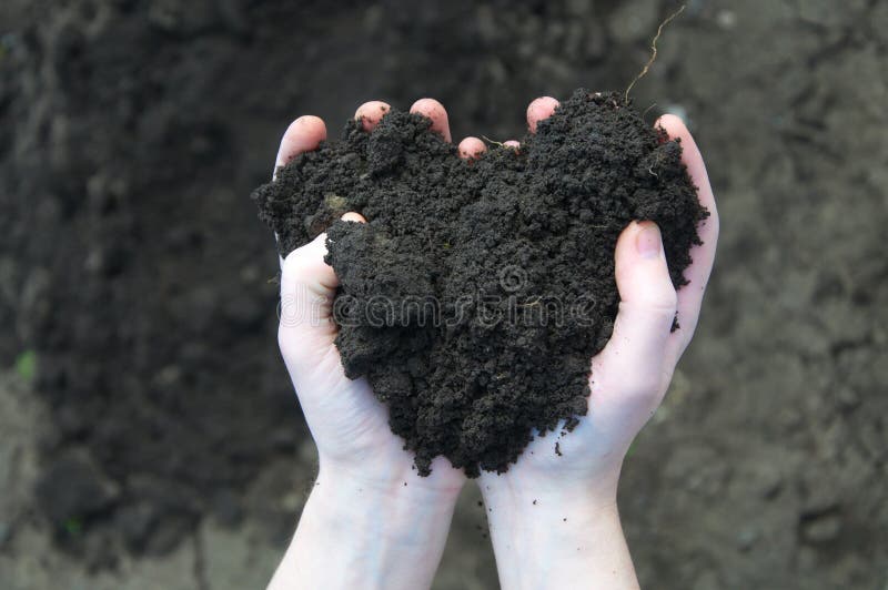 Hand holding soil stock image. Image of garden, brown - 40371141