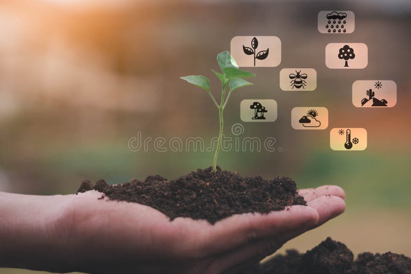 Big or Small Growth Symbol. Turned Wooden Cubes and Changes Words Small ...