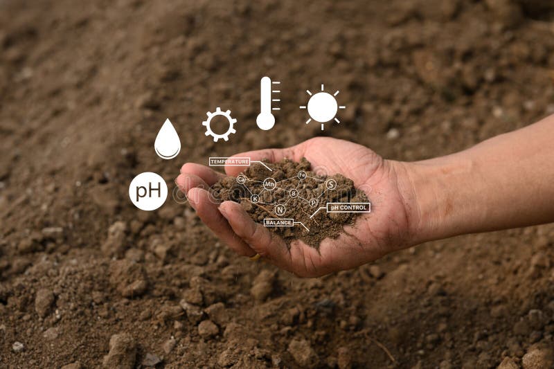 Hand Holding Soil with Virtual Interface Displaying Crucial Data on ...