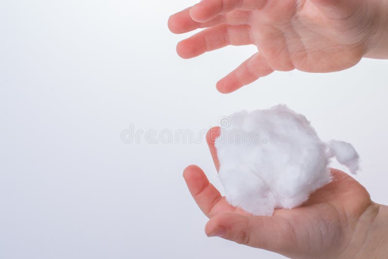 Hand Holding Some Cotton in Hand Stock Image - Image of fiber, plant ...
